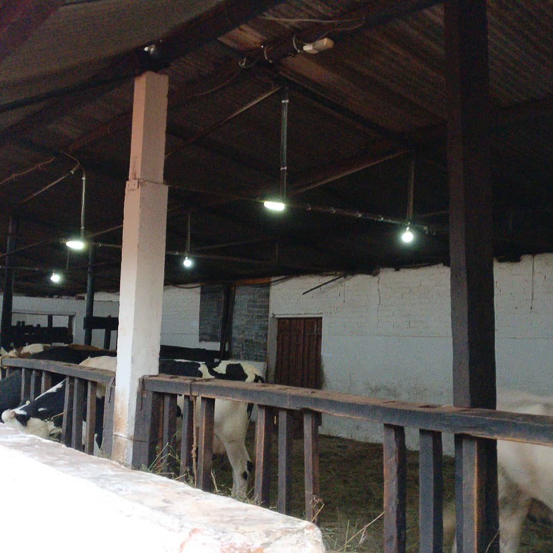 Red Eye Electric Service